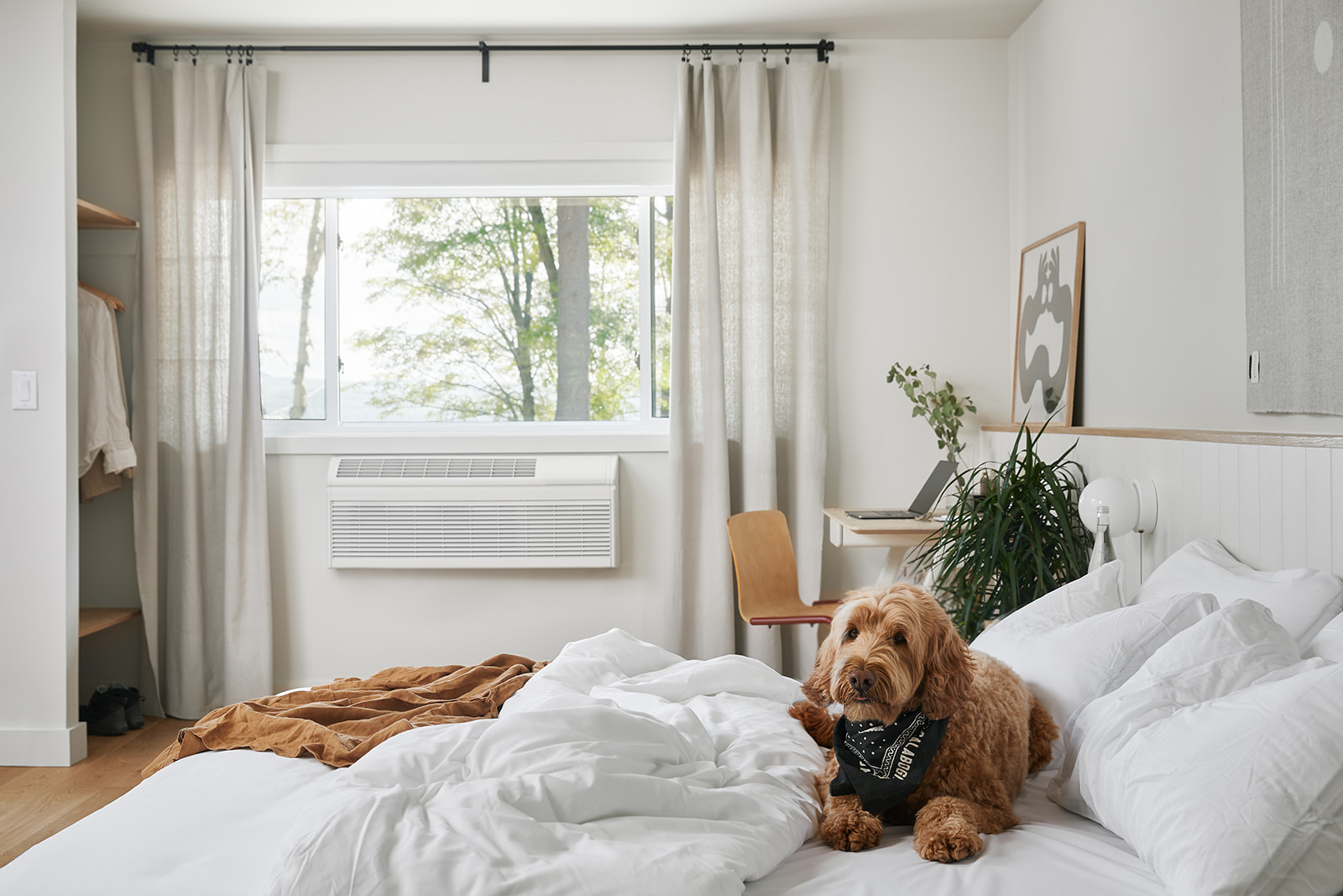 Pet-Friendly Accommodations in Ontario: Bringing Your Furry Friend ...